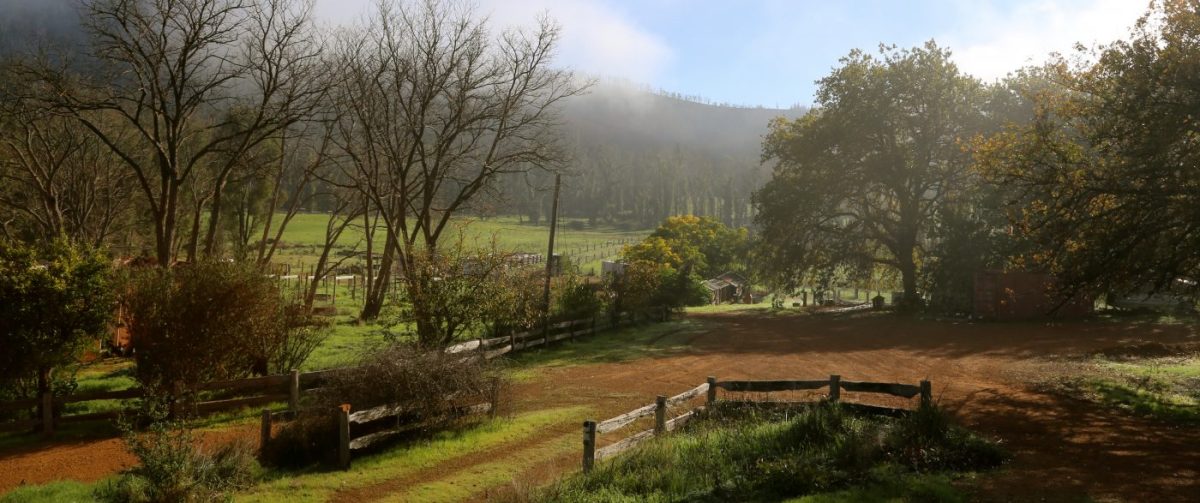 Southampton Homestead and Farm – Powered by grass