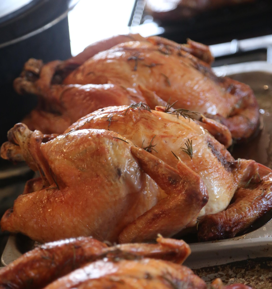 Purchase – Southampton Homestead and Farm